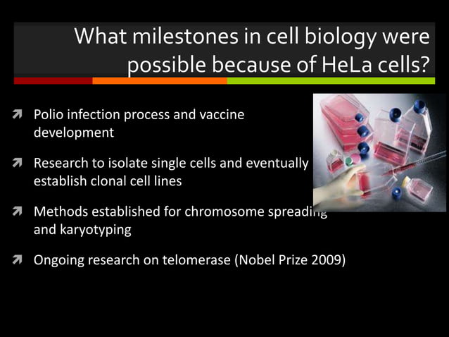 Hela cell lines | PPT