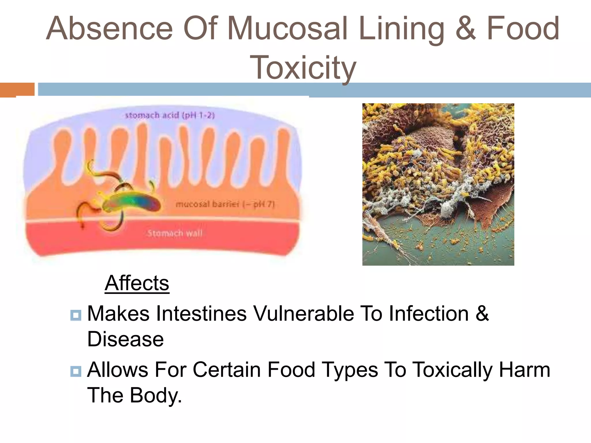 Healing the gut thru toxin removal ppt | PPTX