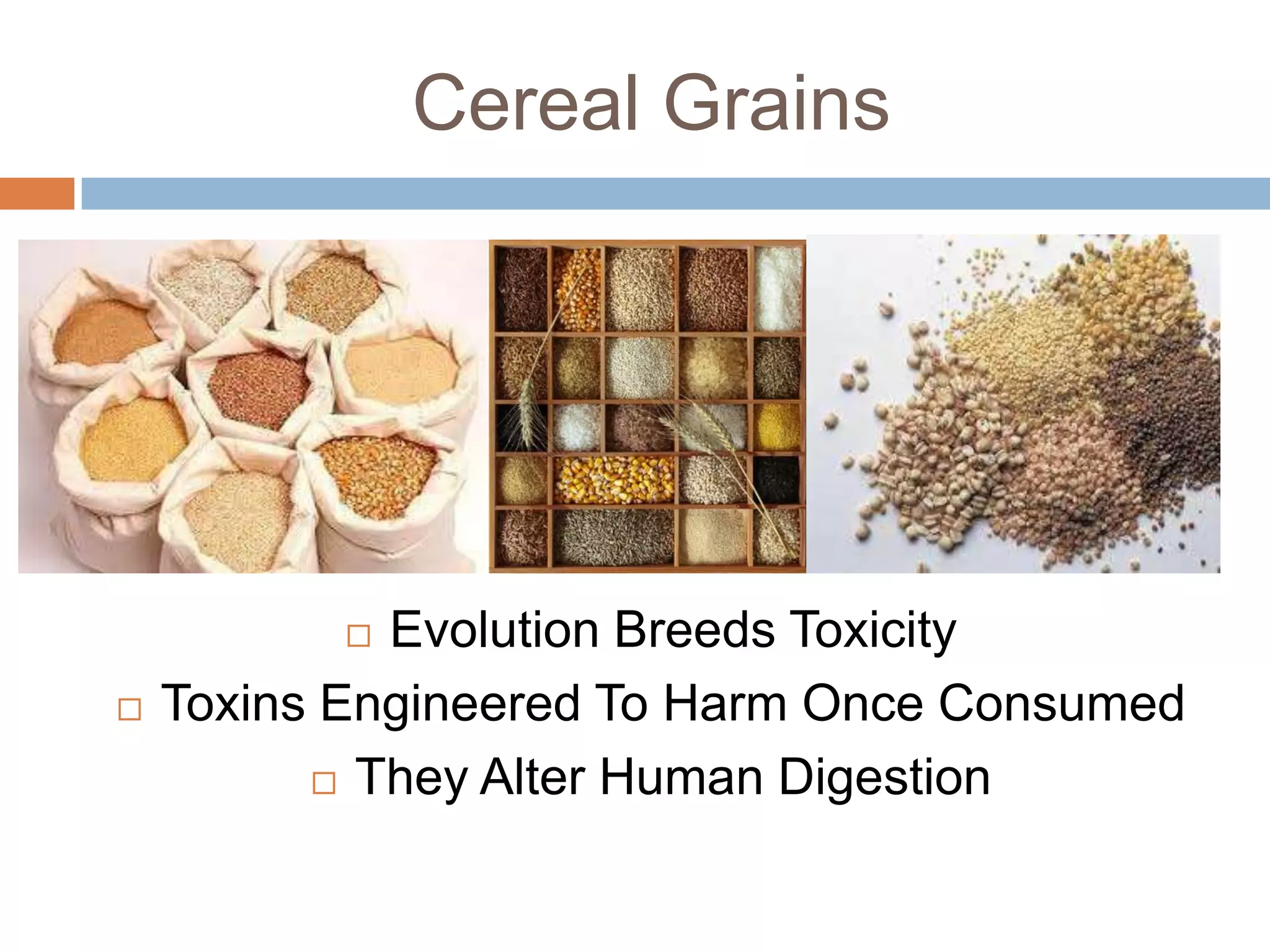Healing the gut thru toxin removal ppt | PPTX