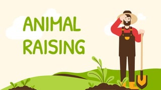 HELE 4 ANimal Raising.pptx