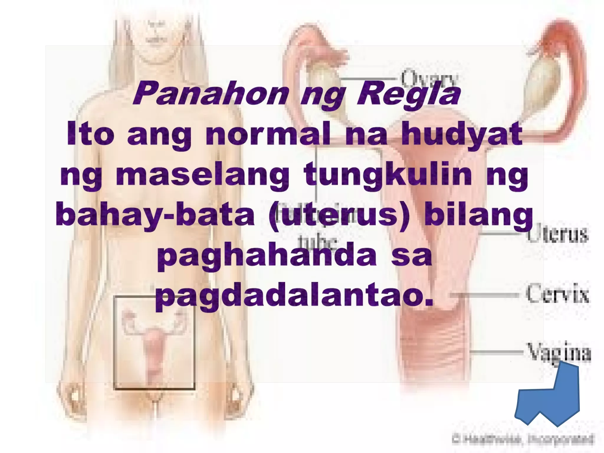 Hele 4 - pagdadalaga at pagbibinata | PPT