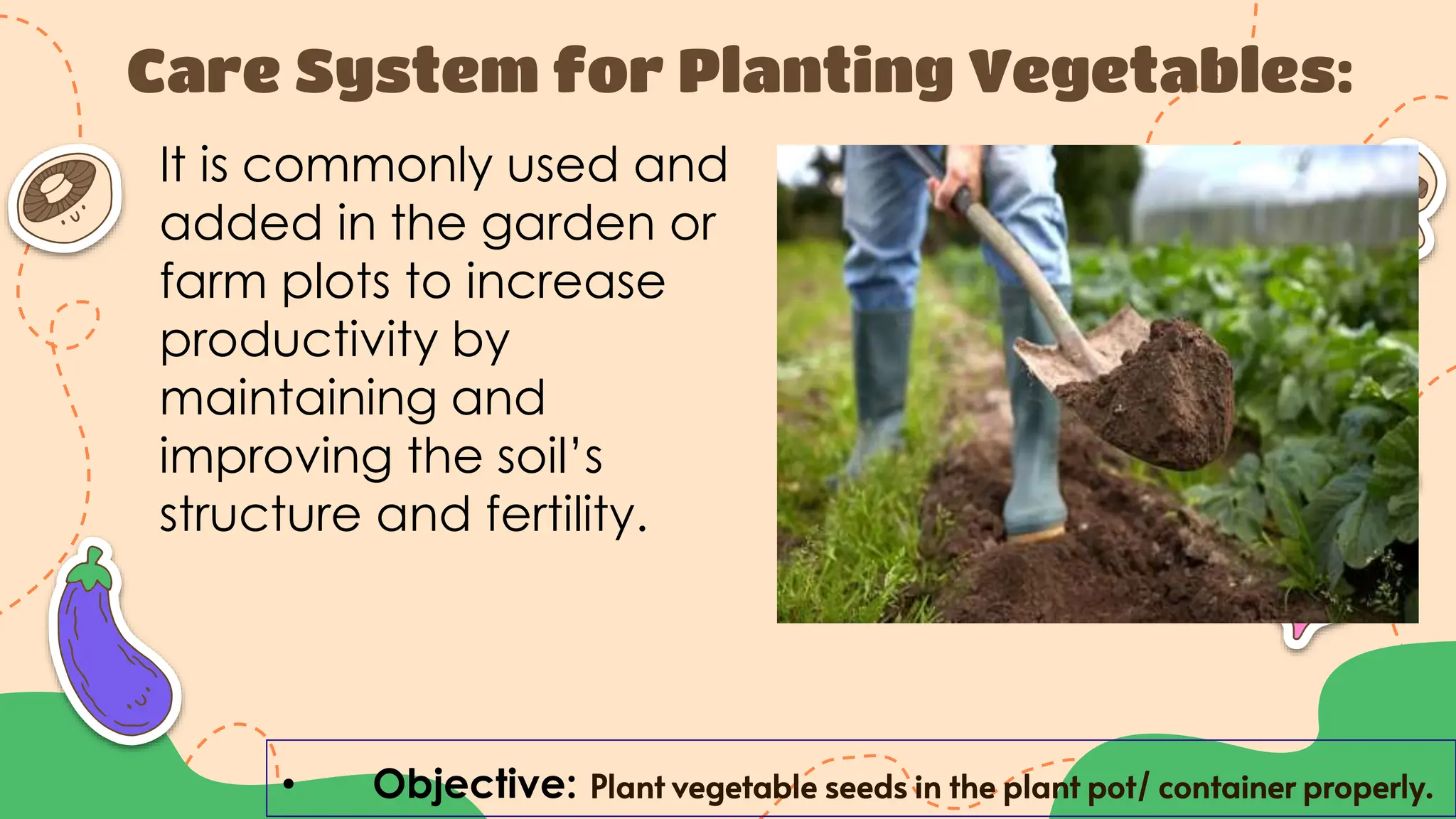 HELE GRADE 5 LESSON 1_ Cultivation of Vegetables.pptx