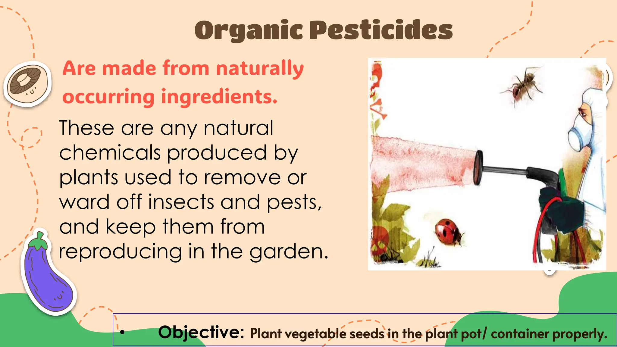 HELE GRADE 5 LESSON 1_ Cultivation of Vegetables.pptx