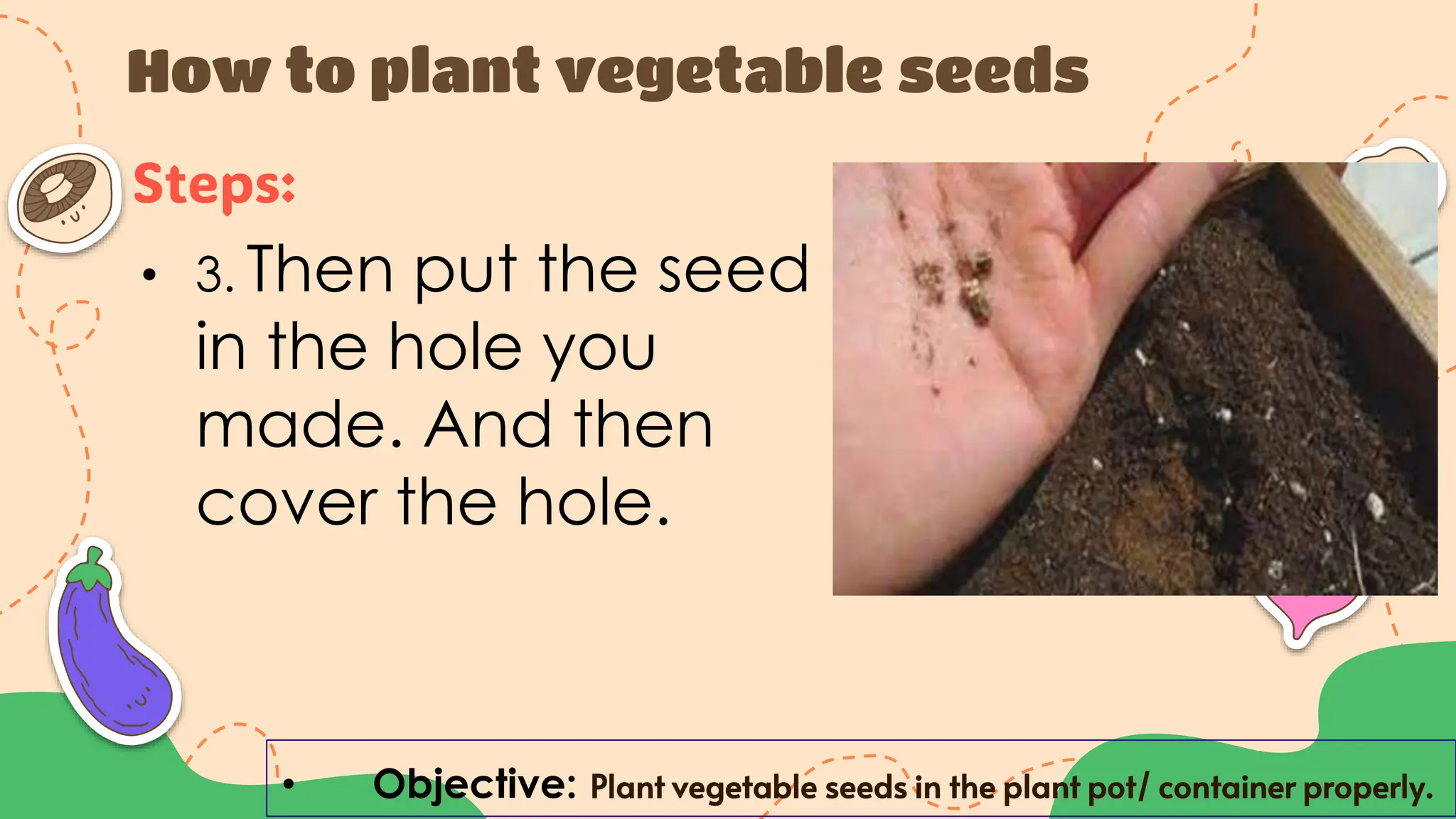 HELE GRADE 5 LESSON 1_ Cultivation of Vegetables.pptx