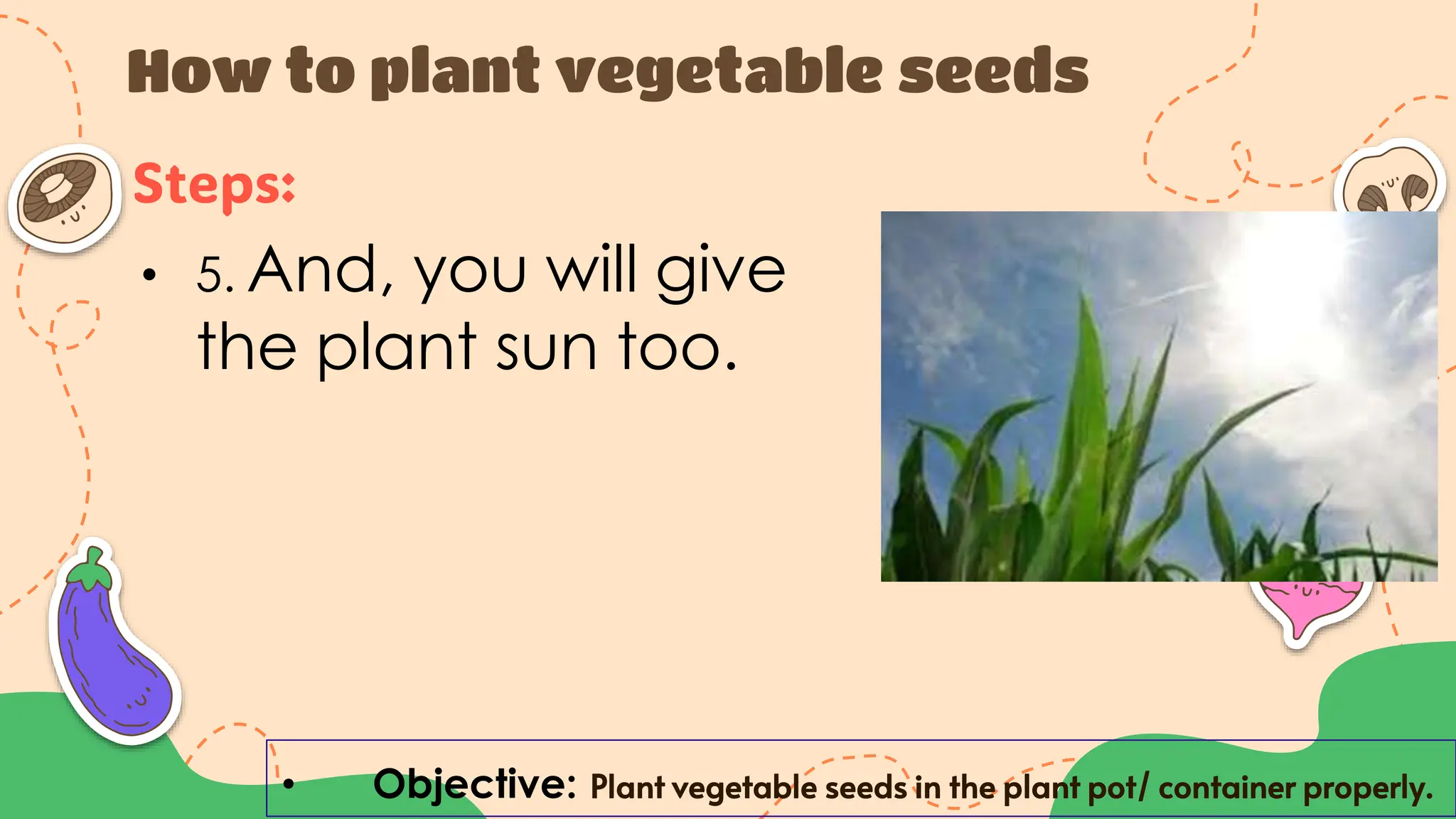 HELE GRADE 5 LESSON 1_ Cultivation of Vegetables.pptx