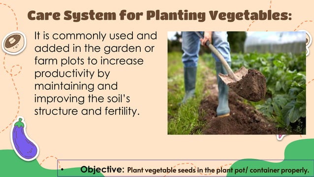 HELE GRADE 5 LESSON 1_ Cultivation of Vegetables.pptx