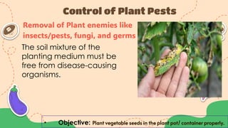 HELE GRADE 5 LESSON 1_ Cultivation of Vegetables.pptx
