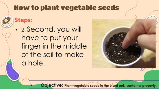 HELE GRADE 5 LESSON 1_ Cultivation of Vegetables.pptx