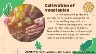 HELE GRADE 5 LESSON 1_ Cultivation of Vegetables.pptx