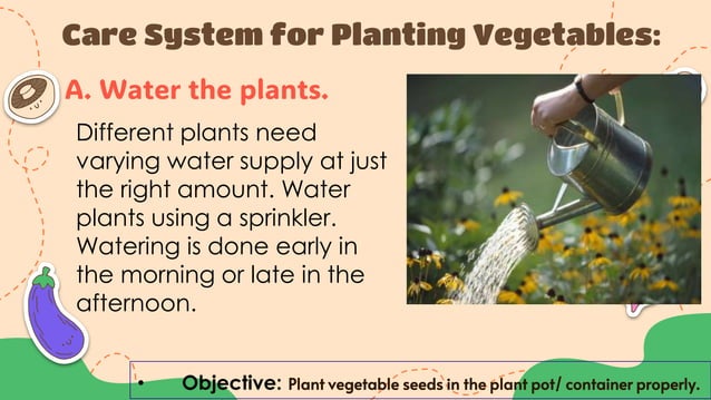 HELE GRADE 5 LESSON 1_ Cultivation of Vegetables.pptx