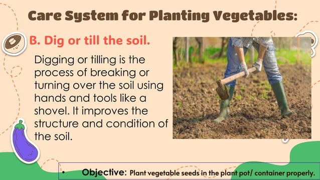 HELE GRADE 5 LESSON 1_ Cultivation of Vegetables.pptx
