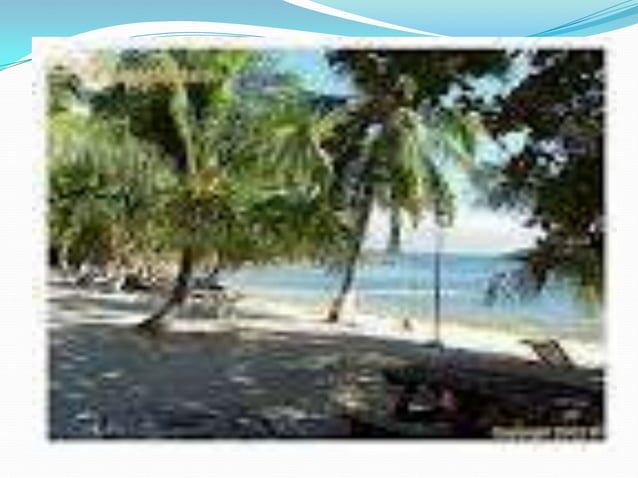 Rehiyon VII (Gitnang Visayas) | PPTX