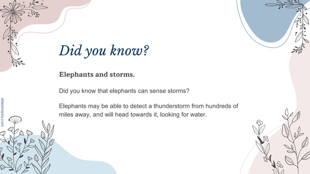 Helena · SlidesMania.pptx | Cats | Pets