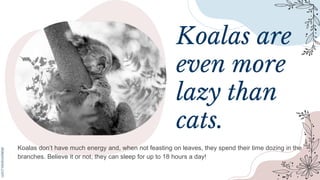 Helena · SlidesMania.pptx | Cats | Pets