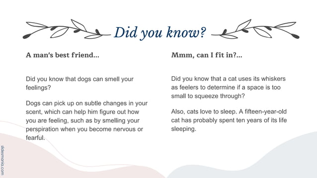 Helena · SlidesMania.pptx | Cats | Pets