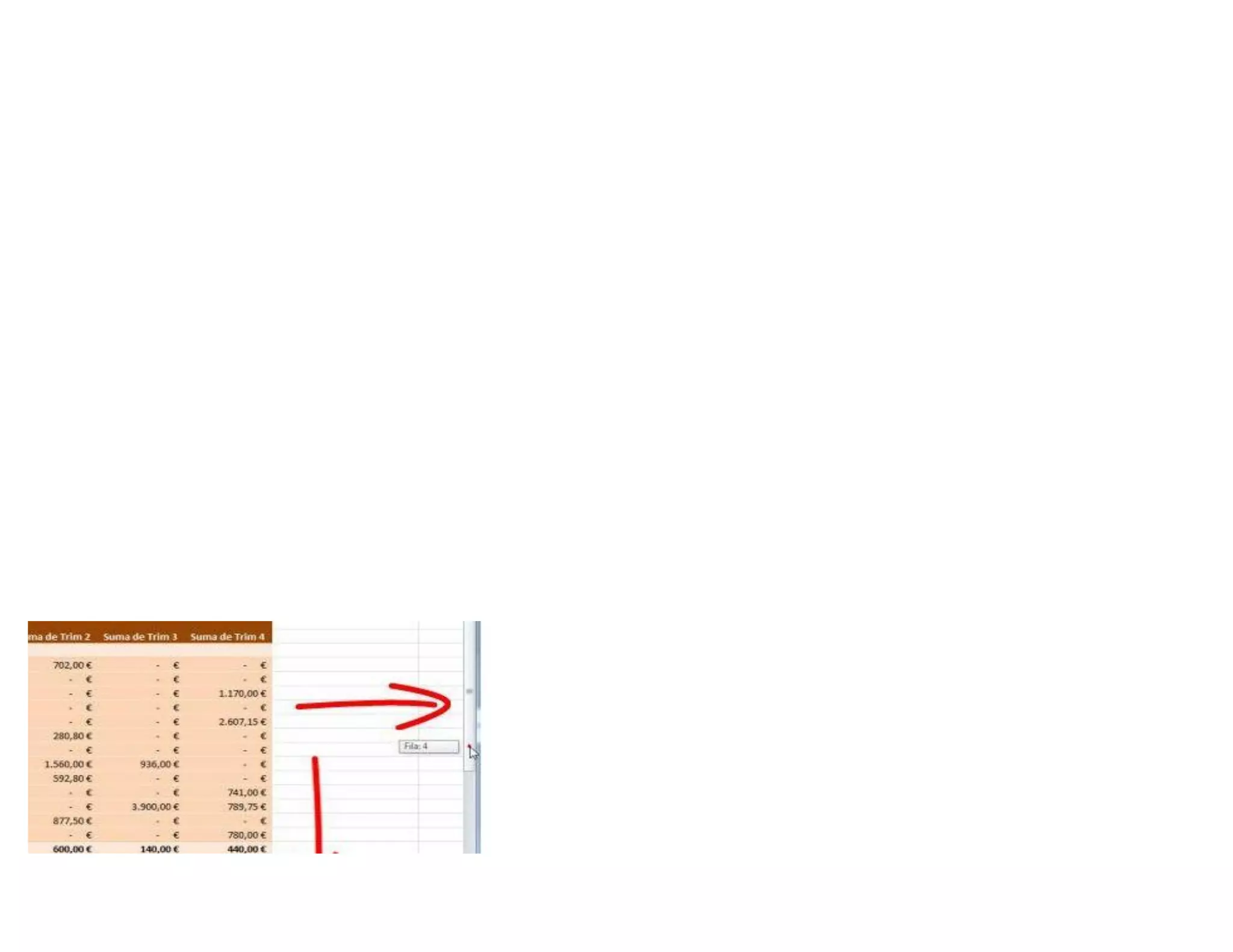 CAPTURAS DE EXCEL, sus funciones | PDF