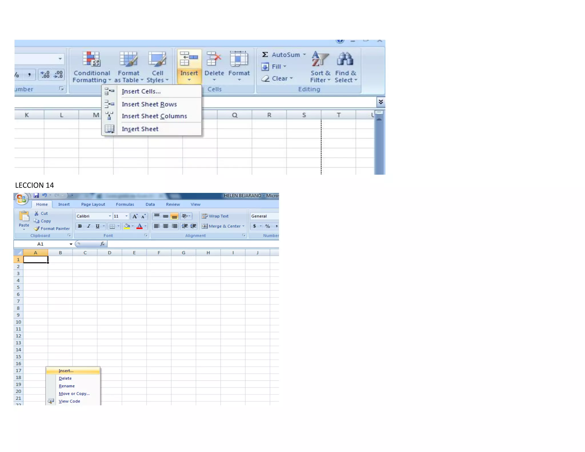 CAPTURAS DE EXCEL, sus funciones | PDF