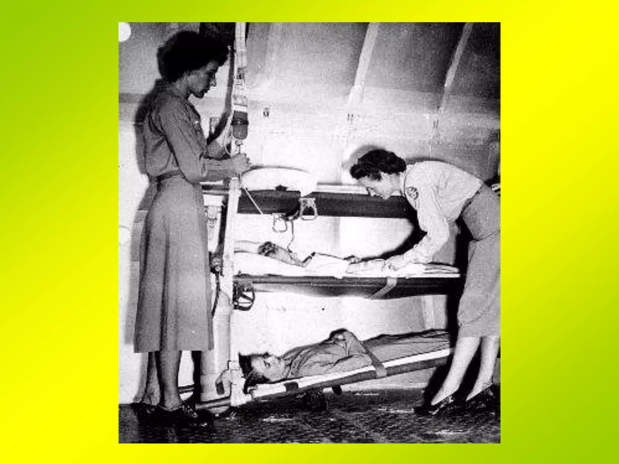 Helen burrey rivised ppt | PPTX