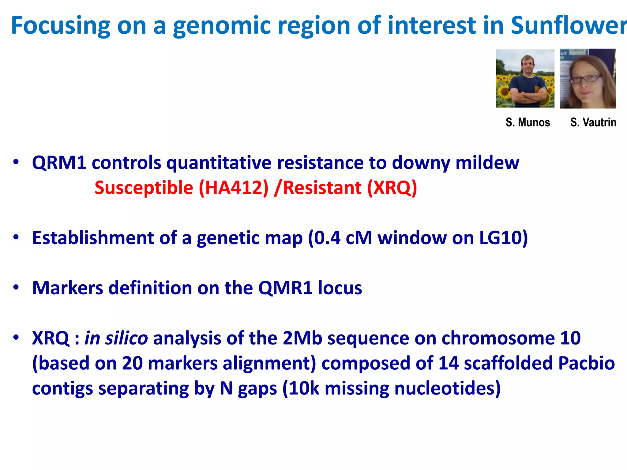 Toward A Better Understanding Of Plant Genome Structure: Combining NGS ...