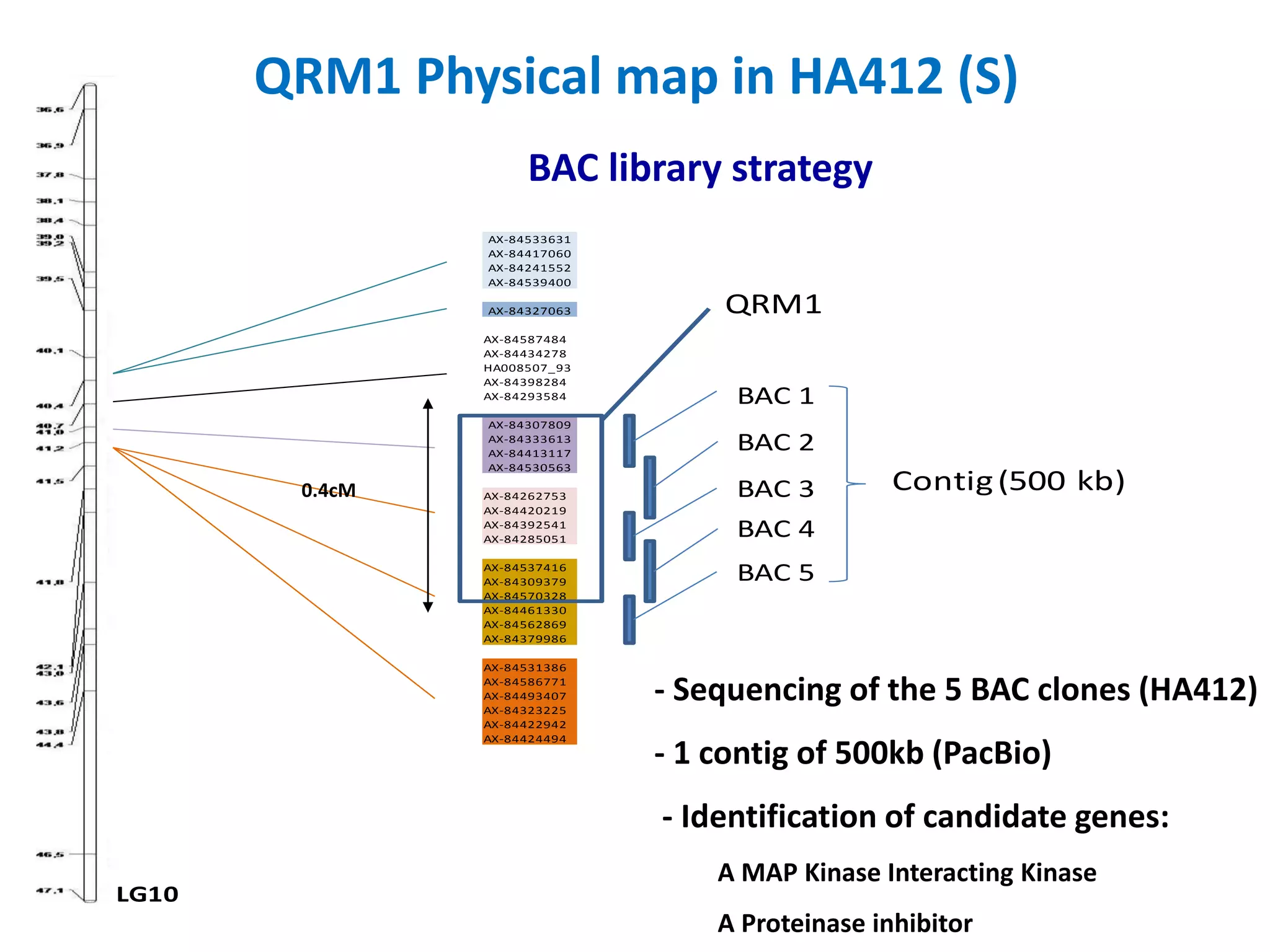 Toward A Better Understanding Of Plant Genome Structure: Combining NGS ...