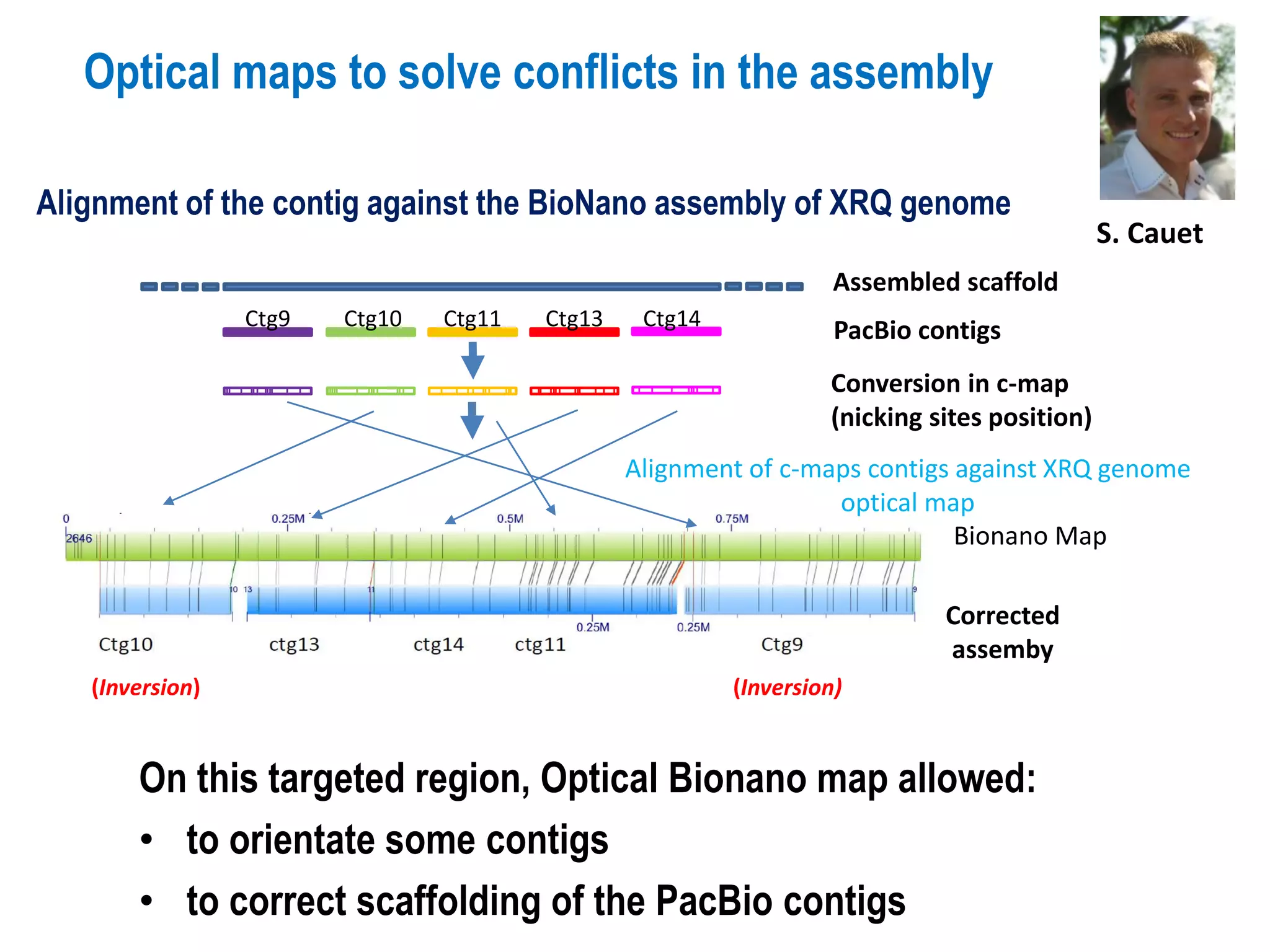 Toward A Better Understanding Of Plant Genome Structure: Combining NGS ...