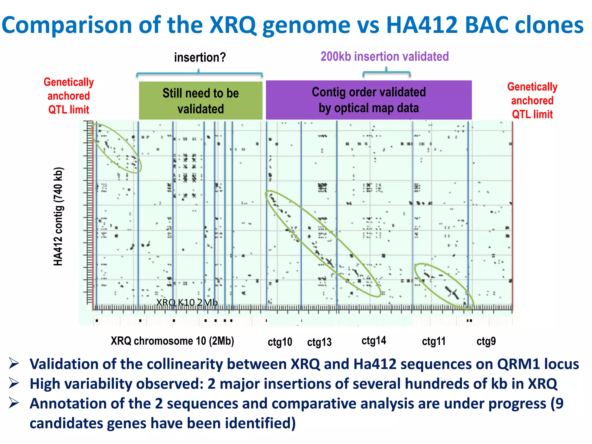 Toward A Better Understanding Of Plant Genome Structure: Combining NGS ...