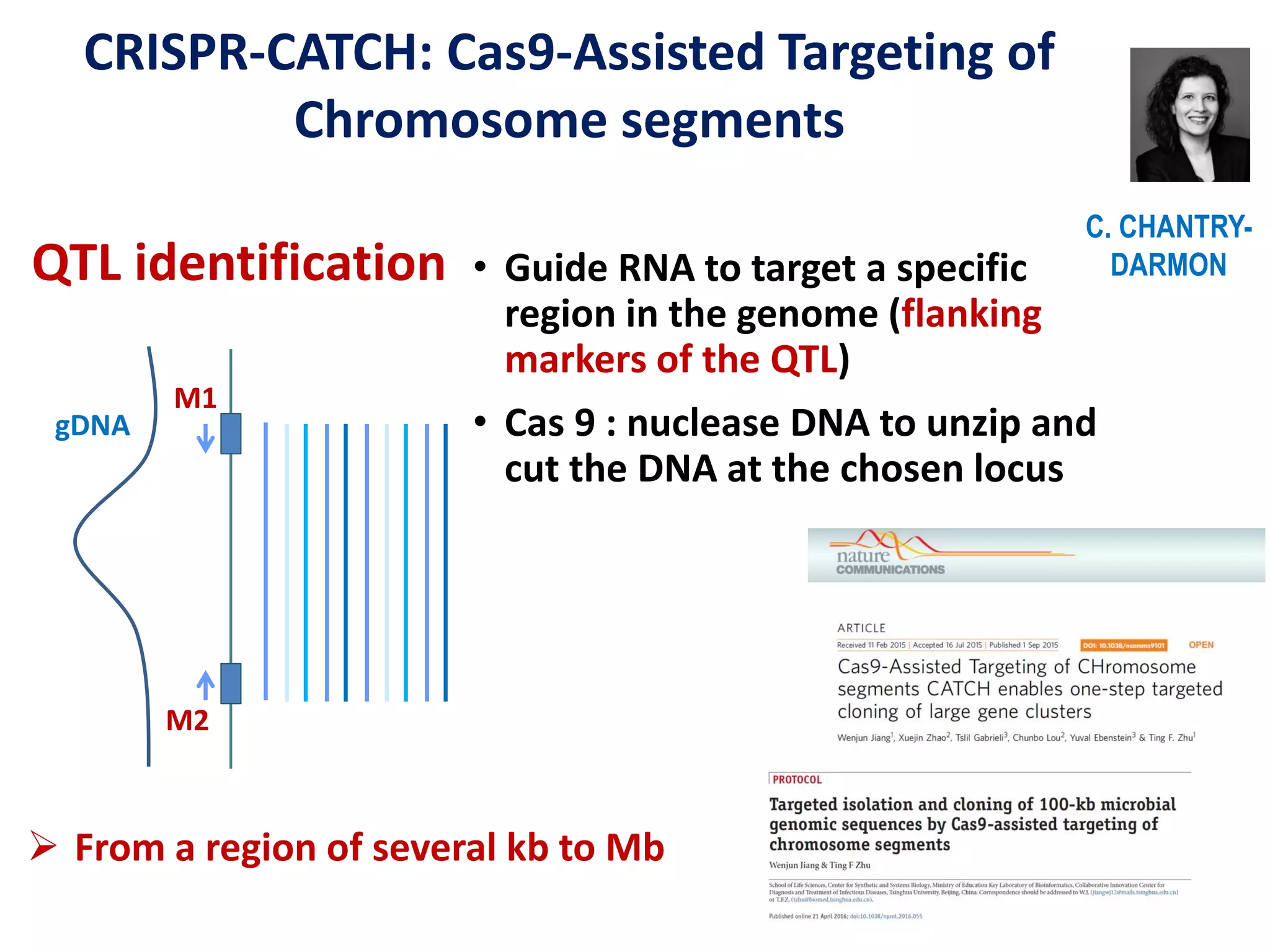 Toward A Better Understanding Of Plant Genome Structure: Combining NGS ...