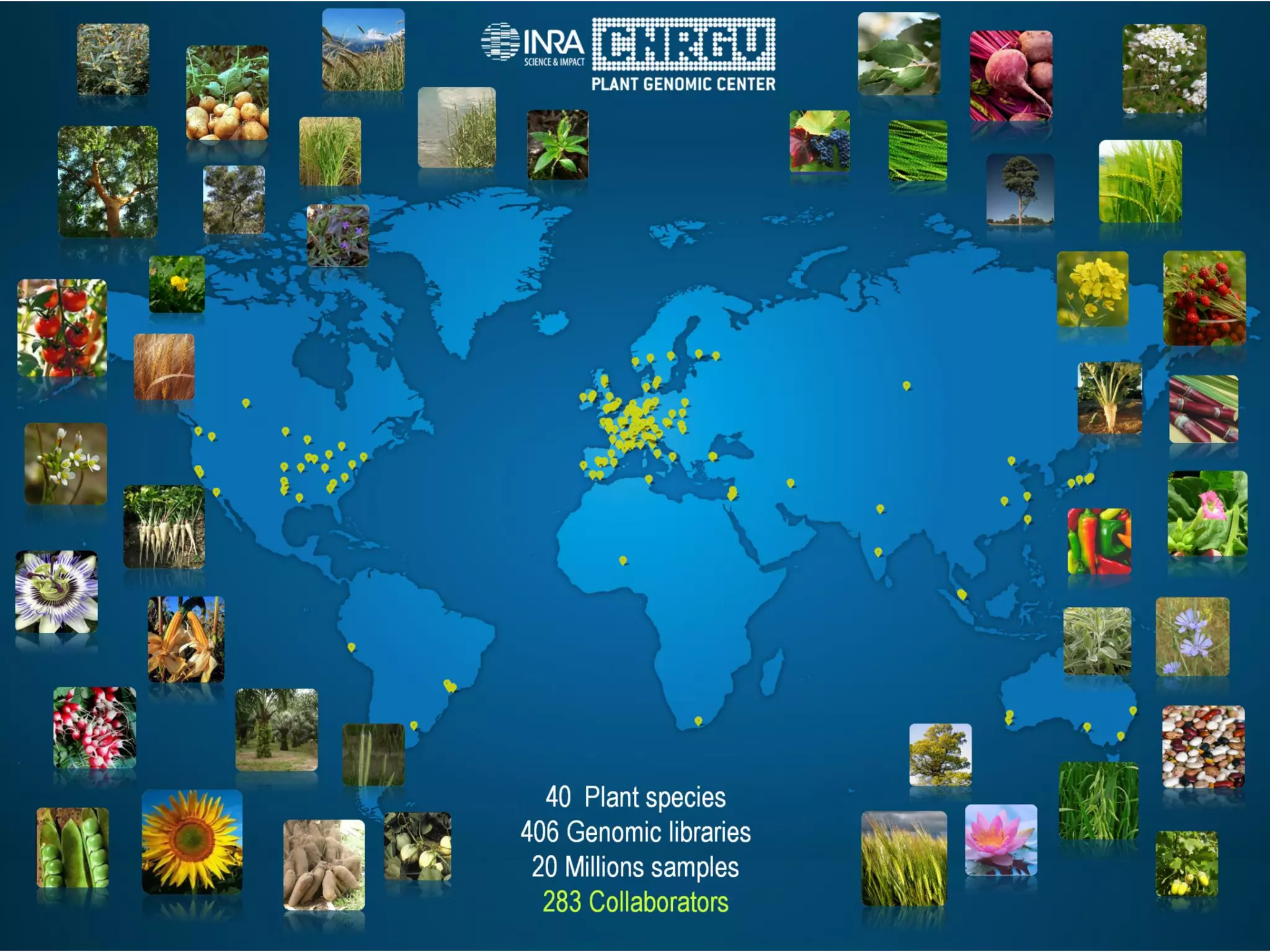 Toward A Better Understanding Of Plant Genome Structure: Combining NGS ...