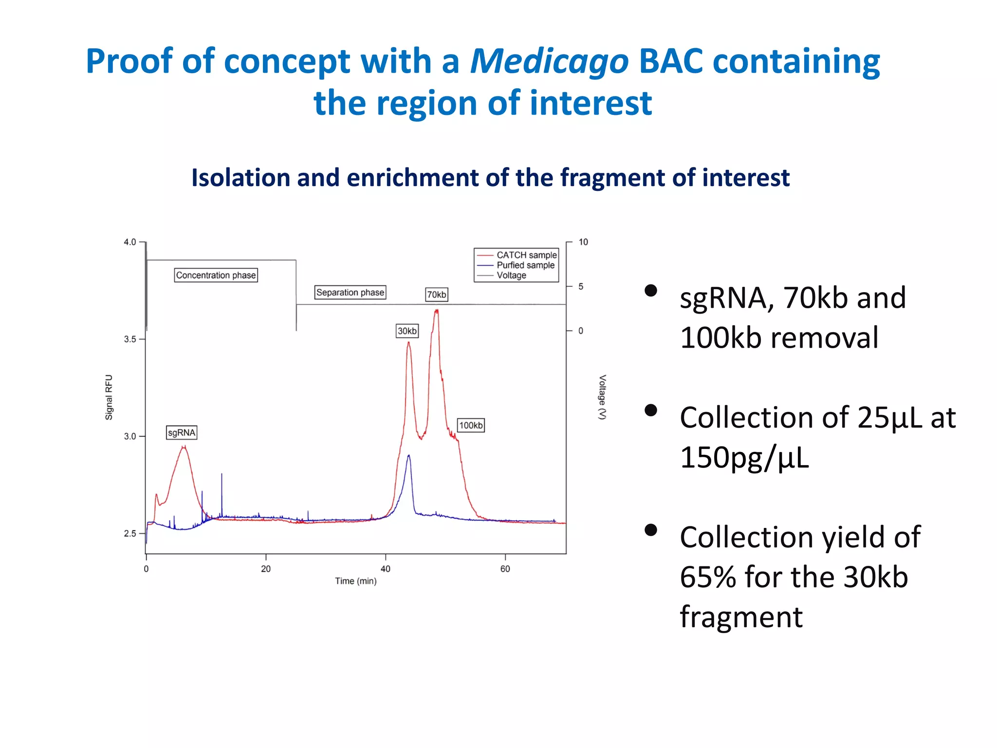 Toward A Better Understanding Of Plant Genome Structure: Combining NGS ...