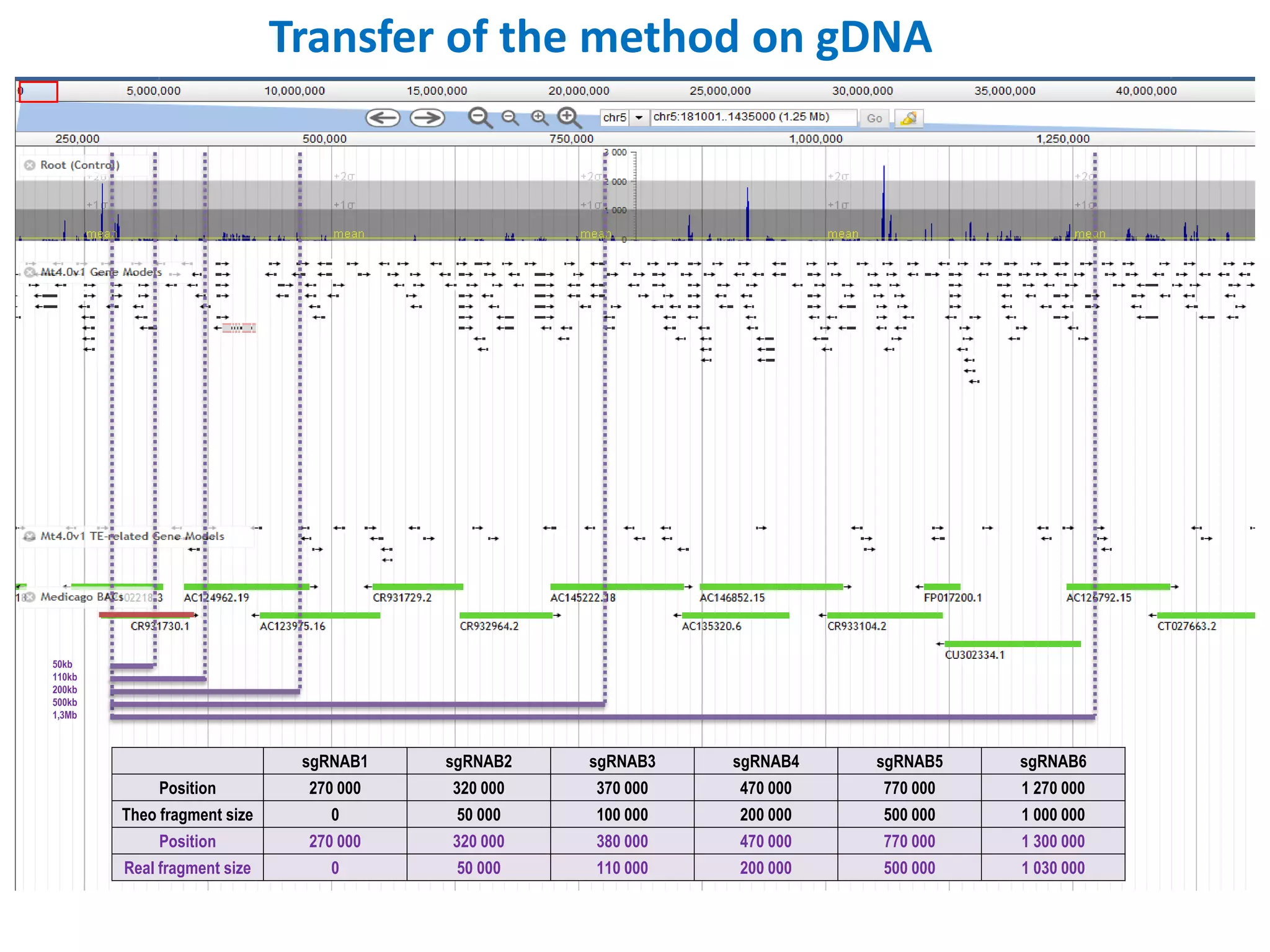 Toward A Better Understanding Of Plant Genome Structure: Combining NGS ...