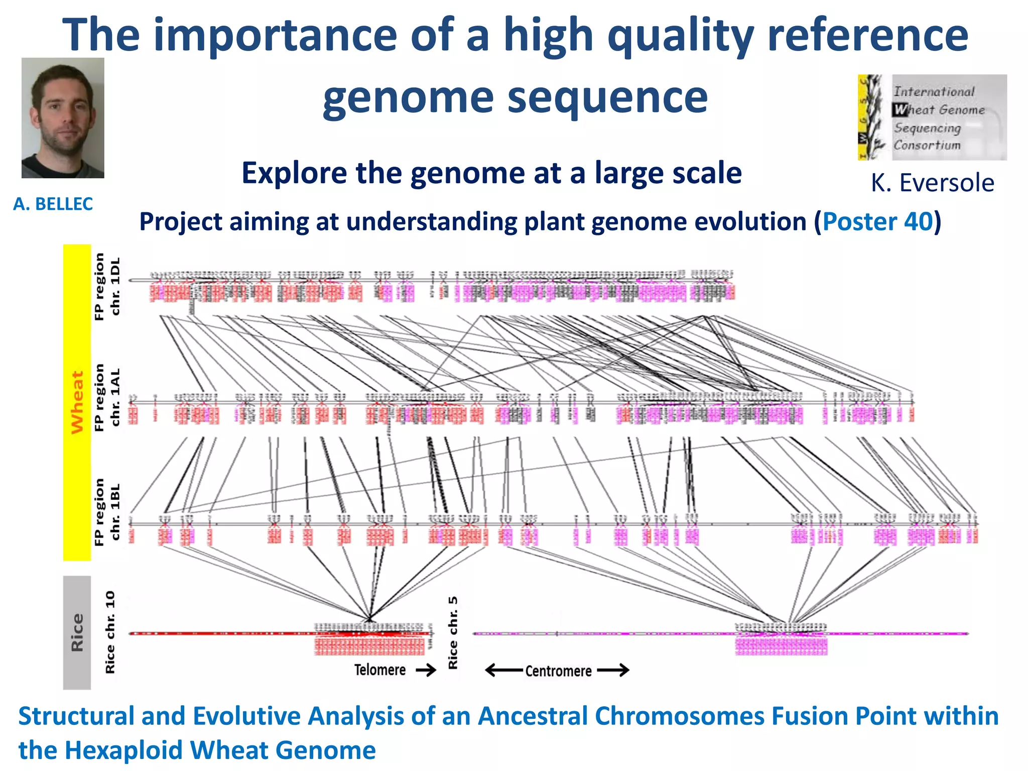 Toward A Better Understanding Of Plant Genome Structure: Combining NGS ...