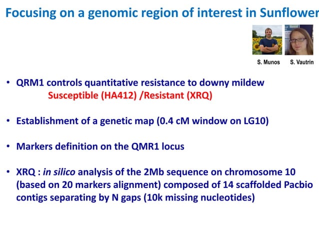 Toward A Better Understanding Of Plant Genome Structure: Combining NGS ...