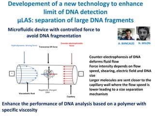 Toward A Better Understanding Of Plant Genome Structure: Combining NGS ...