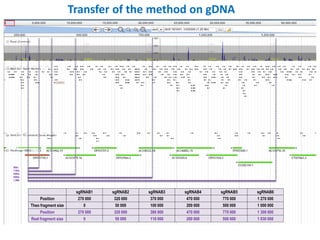 Toward A Better Understanding Of Plant Genome Structure: Combining NGS ...