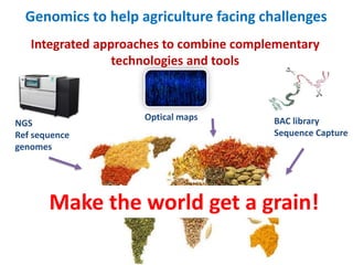 Toward A Better Understanding Of Plant Genome Structure: Combining NGS ...