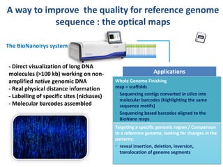 Toward A Better Understanding Of Plant Genome Structure: Combining NGS ...