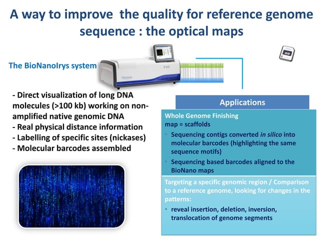 Toward A Better Understanding Of Plant Genome Structure: Combining NGS ...