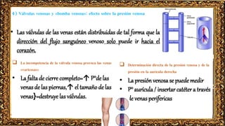 Distensibilidad vascular y funciones de los sistemas arterial y venoso ...