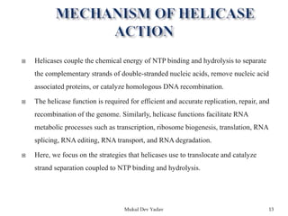 Helicases ppt. | PPTX