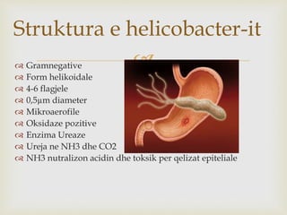 Helicobacter | PPT