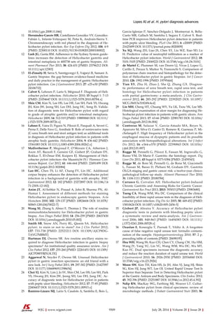 Helicobacter | PDF
