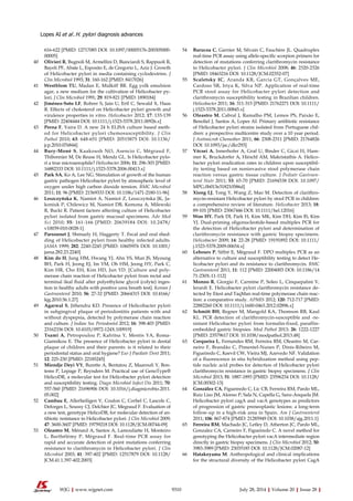 Helicobacter | PDF