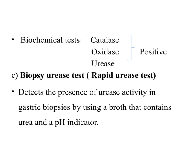 HELICOBACTER PYLORI by Dr Teena Varghese. pptx | PPT