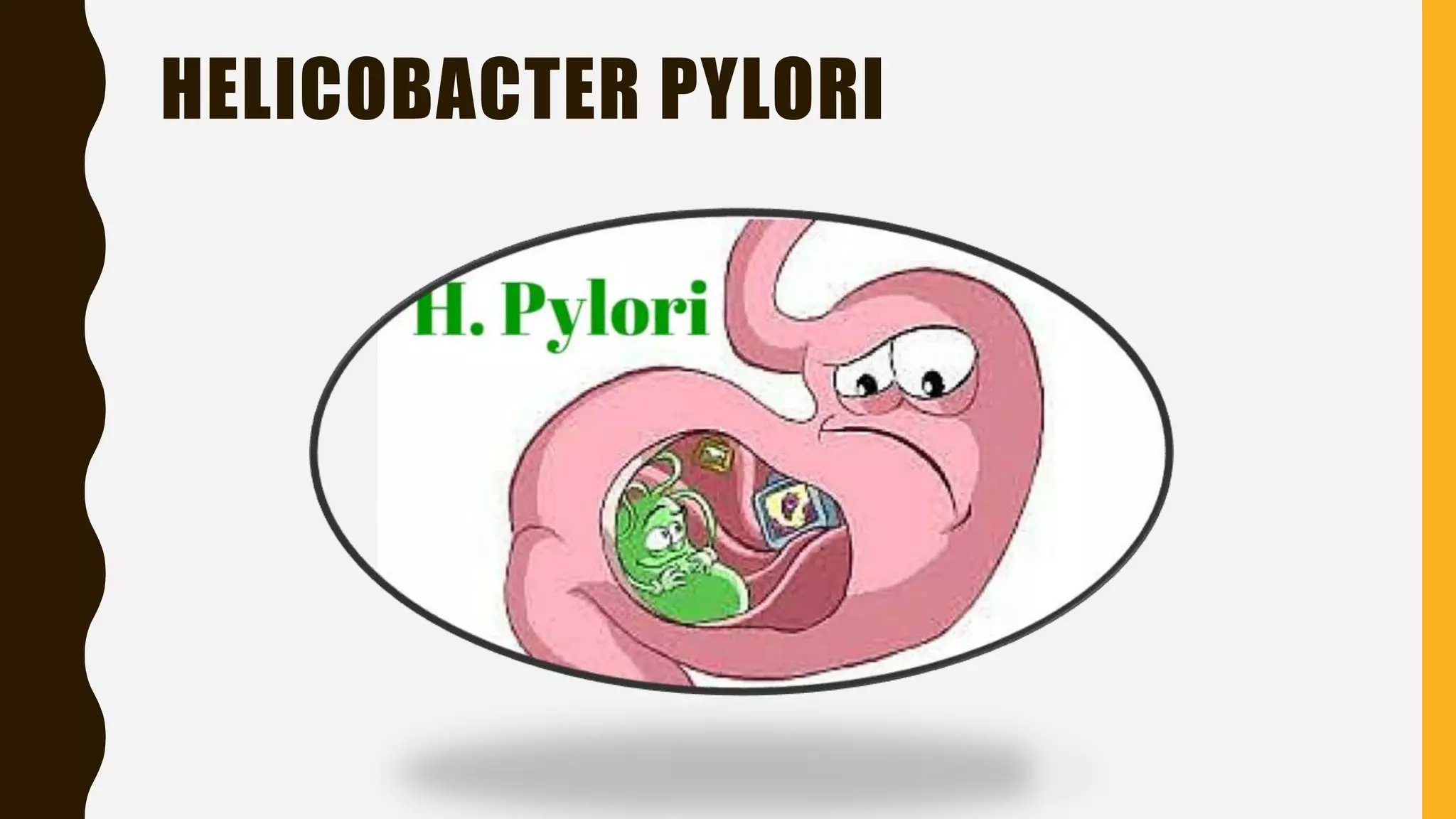Helicobacter Pylori | PPTX