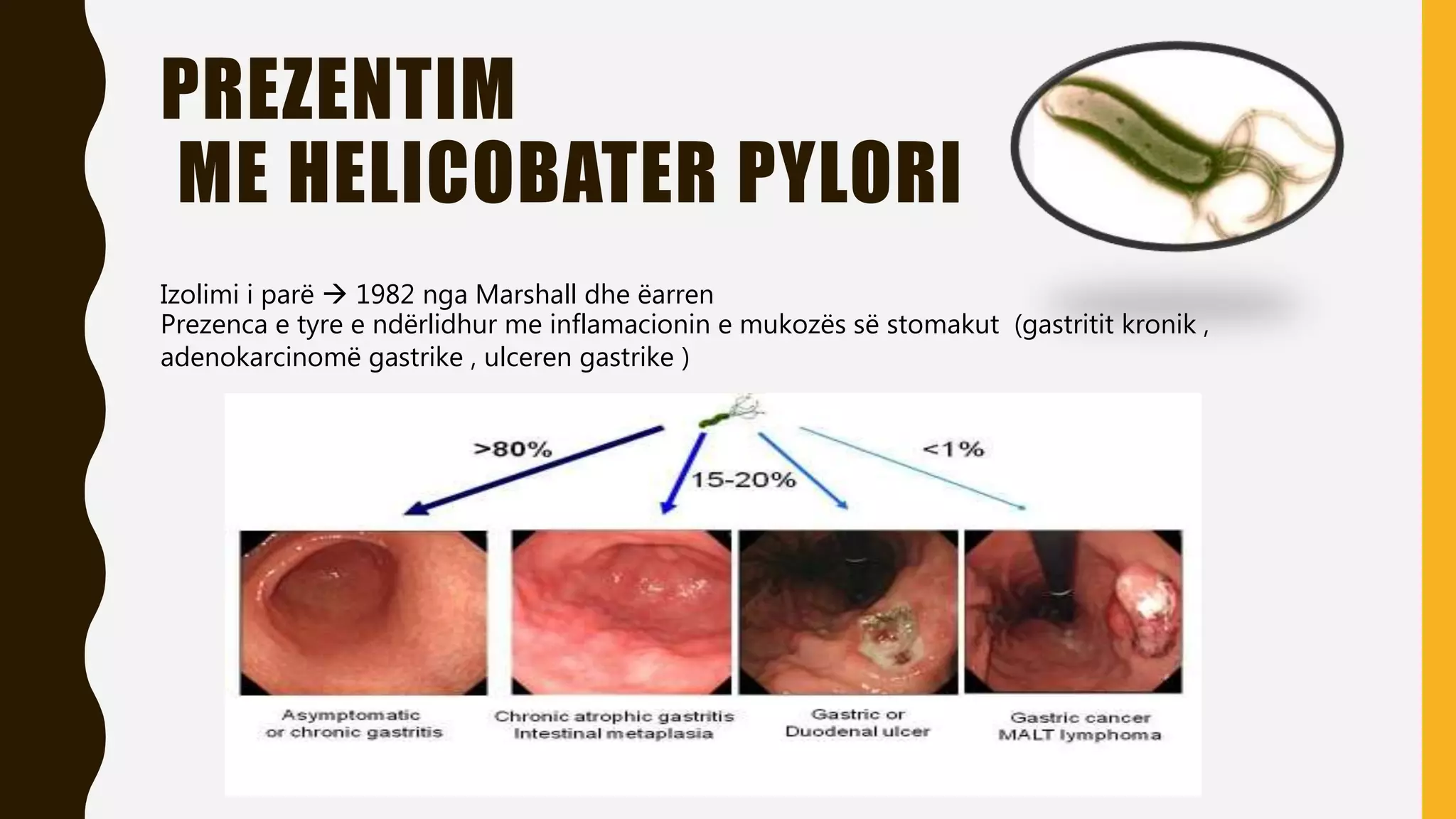 Helicobacter Pylori | PPTX