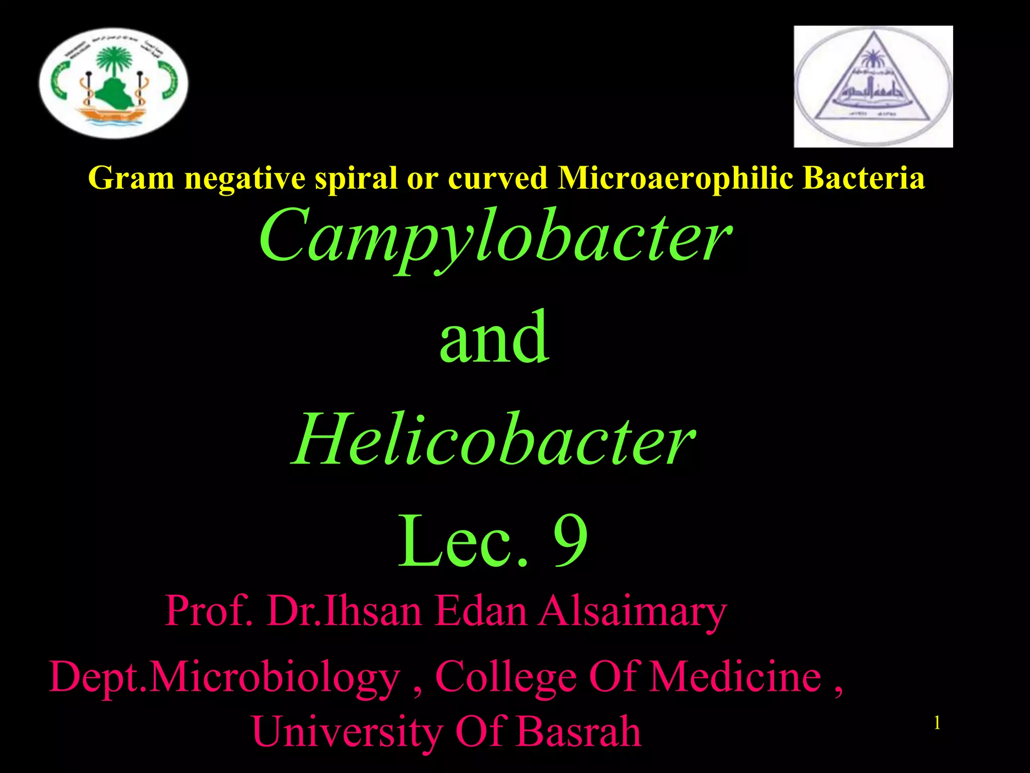 Helicobacter & campylobacter lec.11 dr.ihsan alsaimary | PPT