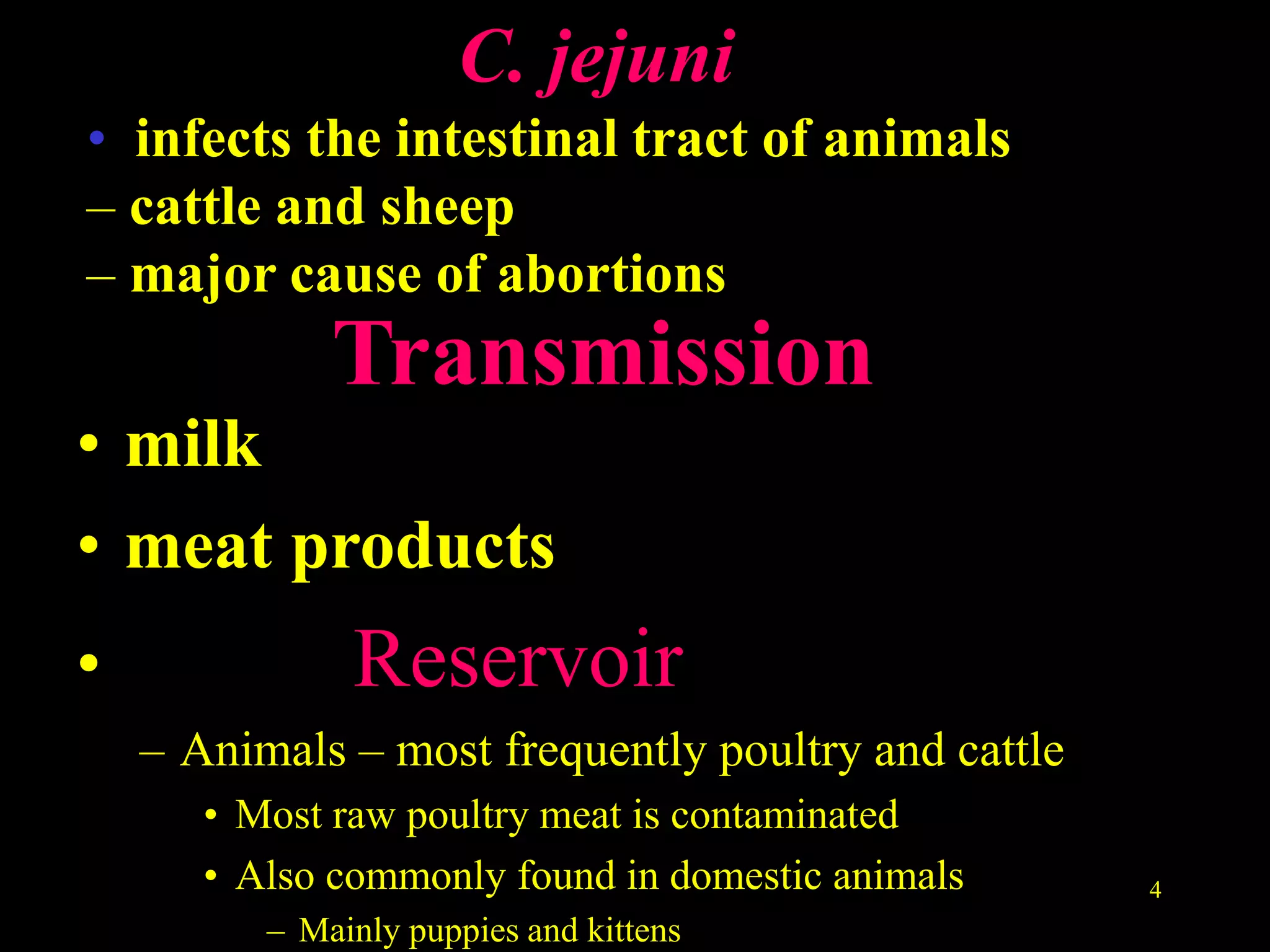 Helicobacter & campylobacter lec.11 dr.ihsan alsaimary | PPT