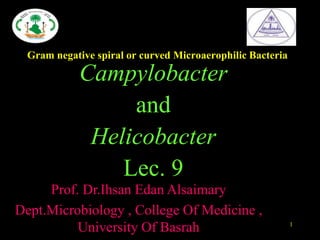 Helicobacter & campylobacter lec.11 dr.ihsan alsaimary | PPT