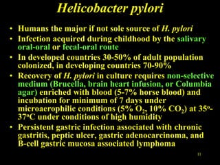 Helicobacter & campylobacter lec.11 dr.ihsan alsaimary | PPT