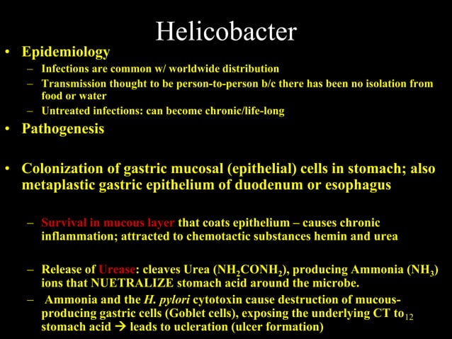 Helicobacter & campylobacter lec.11 dr.ihsan alsaimary | PPT